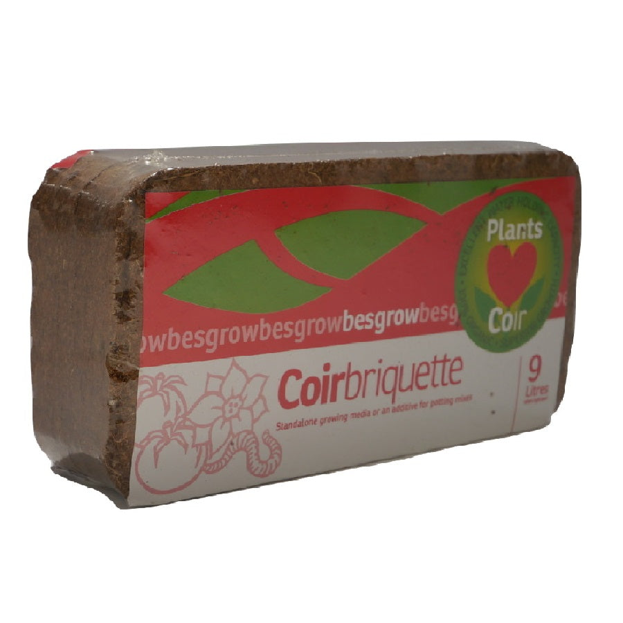 Coconut Fibre worm bedding block – WormsRus