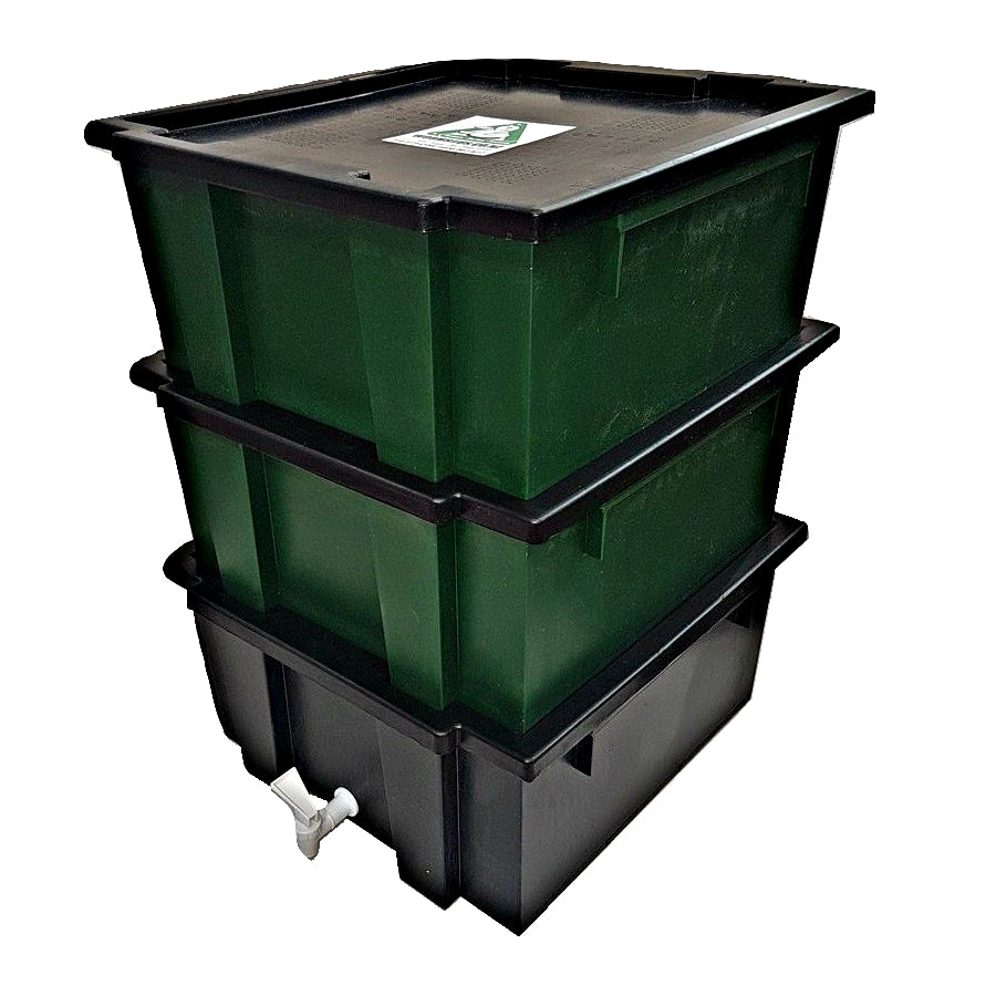 Worm bins and farms for the home – WormsRus